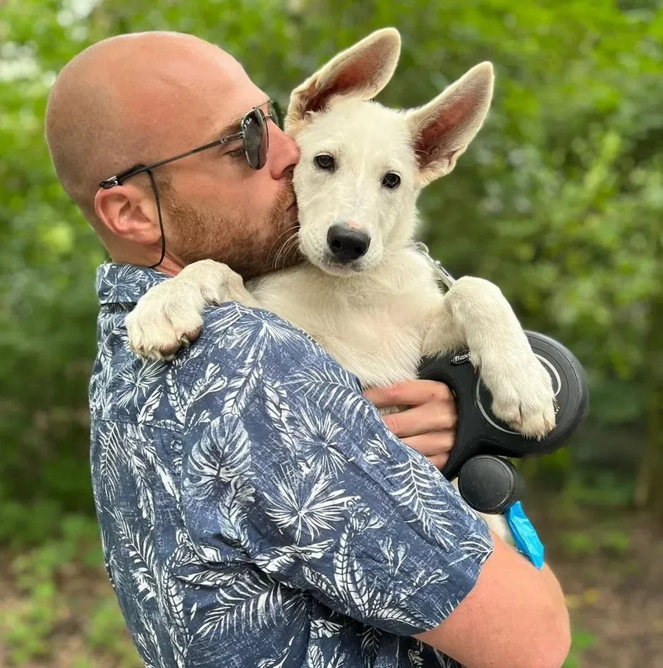 Kanarie houden: alles wat je moet weten over deze vrolijke zangvogel ...